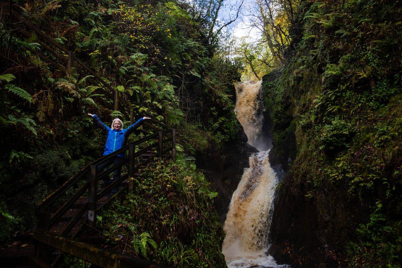 Gallery – Laragh Lodge