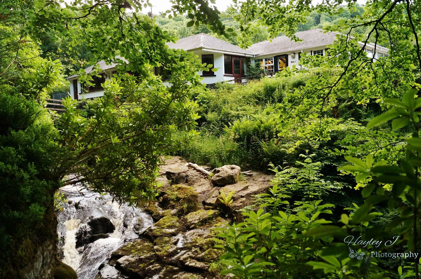 32684975_1981348255272688_3008846073721520128_o – Laragh Lodge