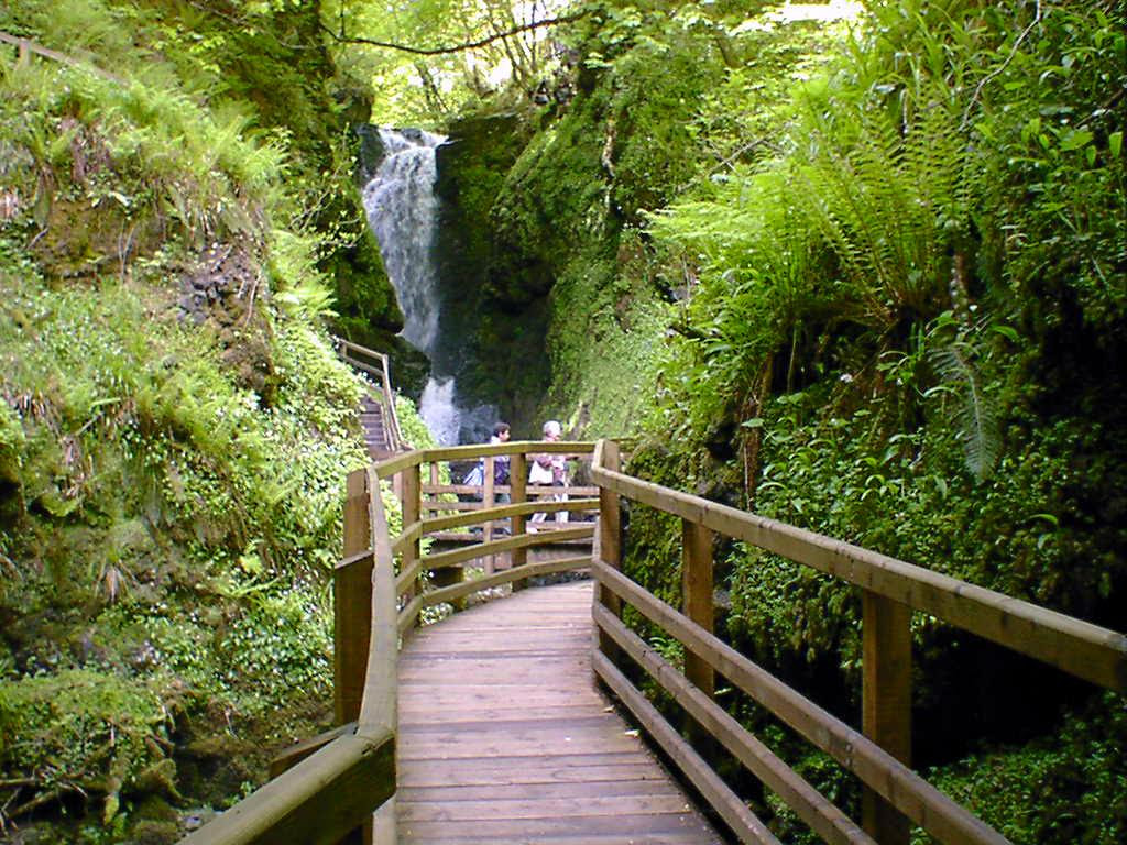 Gallery – Laragh Lodge