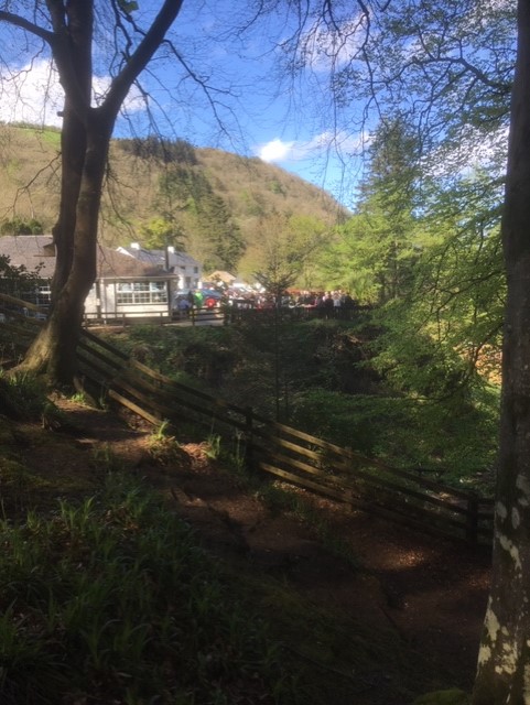 Gallery – Laragh Lodge